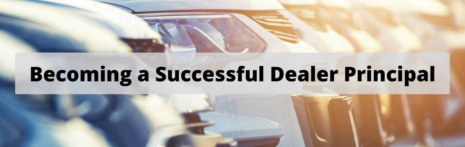 Becoming a Successful Dealer Principal | Insignia Group Blog
